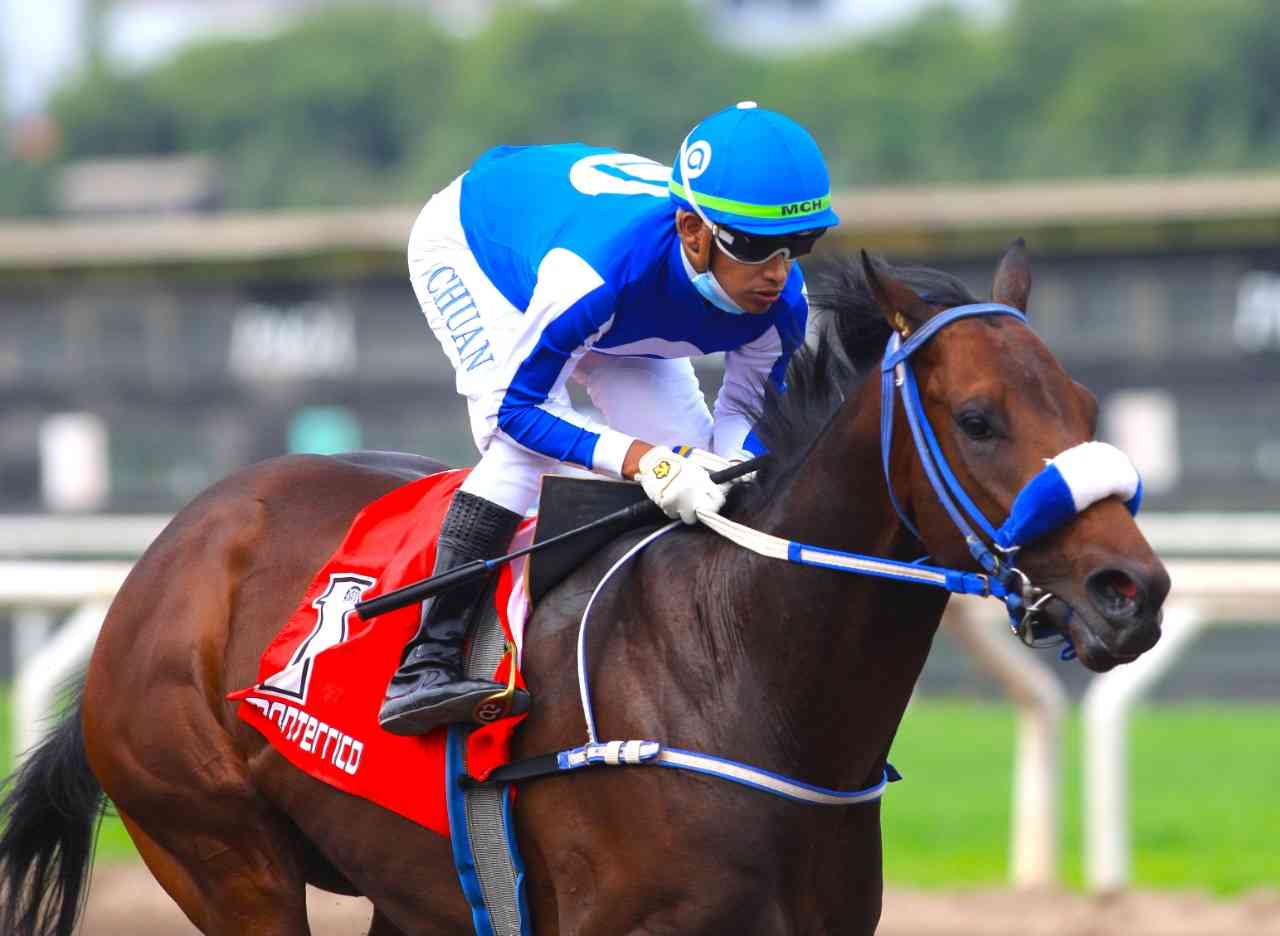 Islero retomó el camino - Contacto Hípico