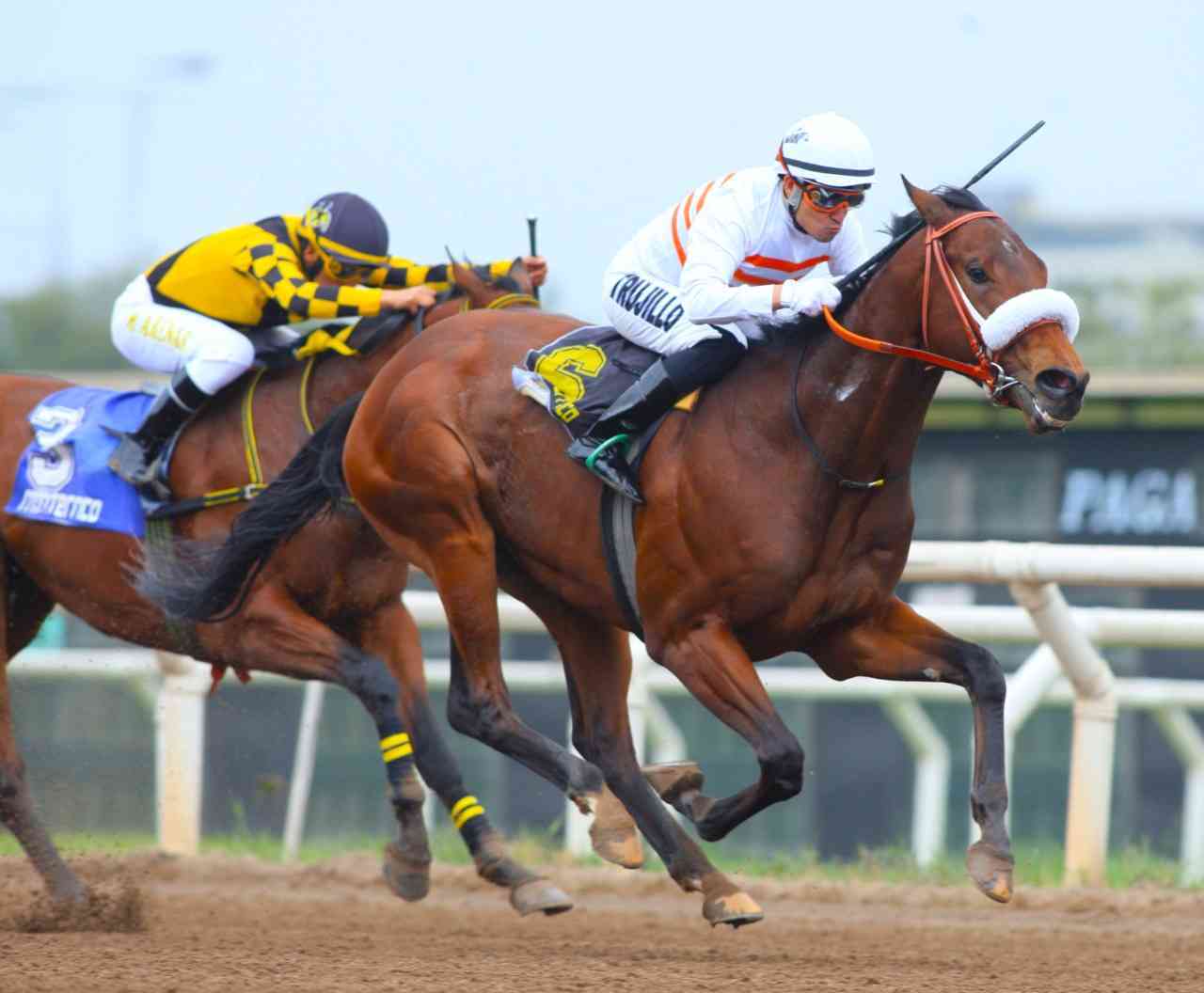 Centrodelantero debuta, este jueves, en Gulfstream Park (+Vídeo ...